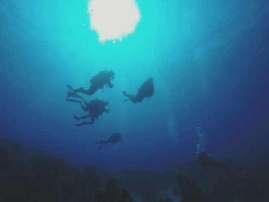 Do you want to be a Professional Dive Leader? | Aloha Dive