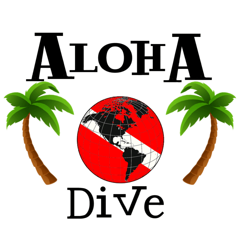 Start Your Scuba Diving Adventure with | Aloha Dive