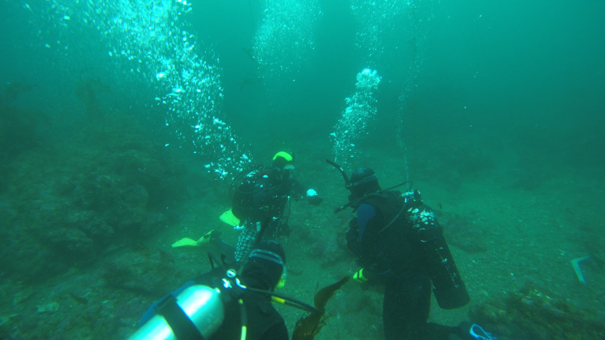 Training Calendar | Aloha Dive