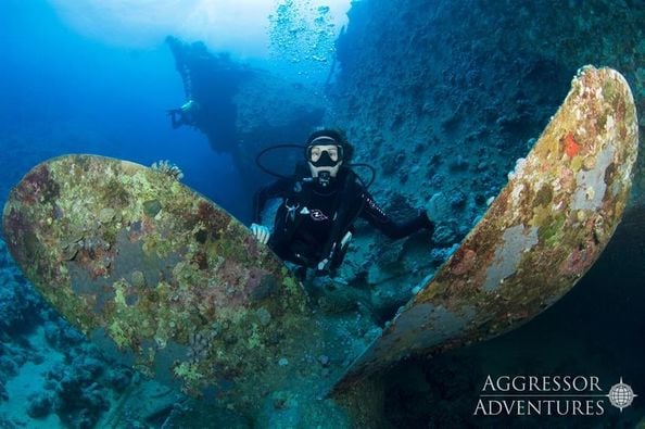 We're going to the Red Sea! | Aloha Dive